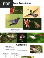 Estructura y Tipos de Limbo en Hojas | PDF | Hoja | Botánica