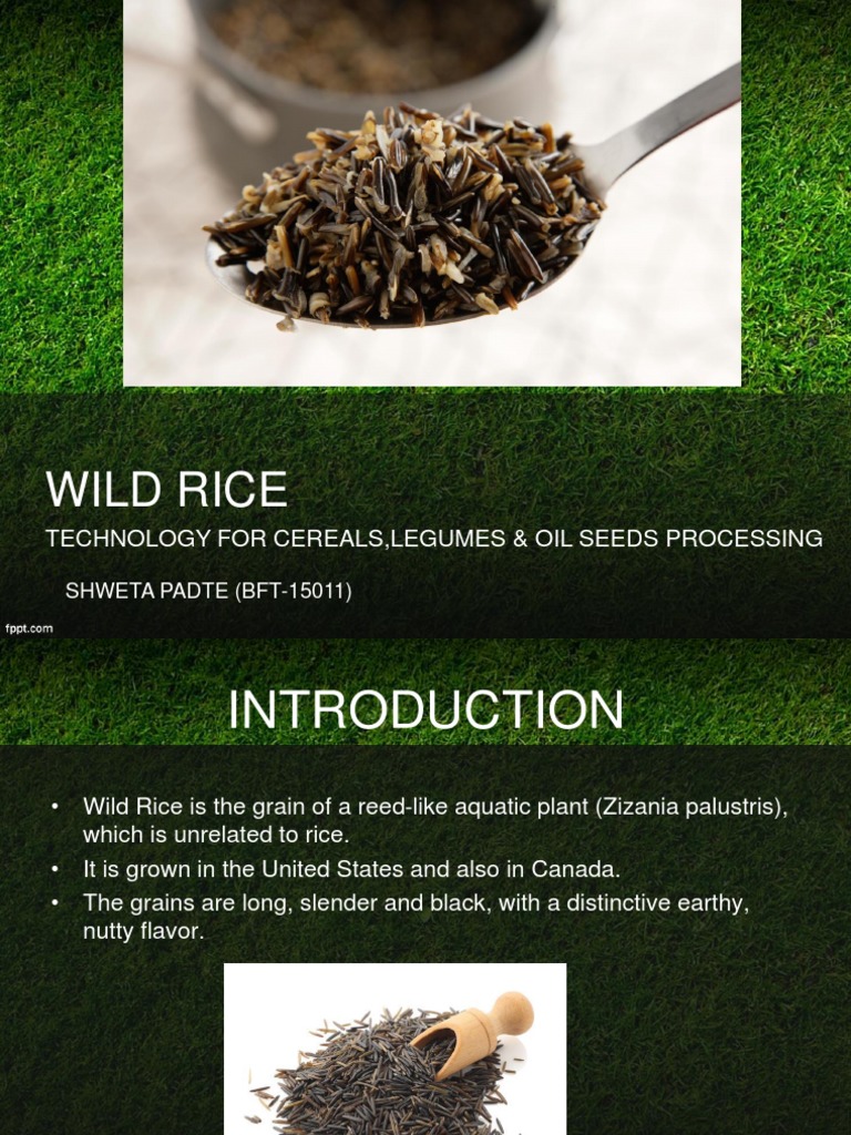 Wild Rice: Technology For Cereals, Legumes & Oil Seeds Processing | PDF ...