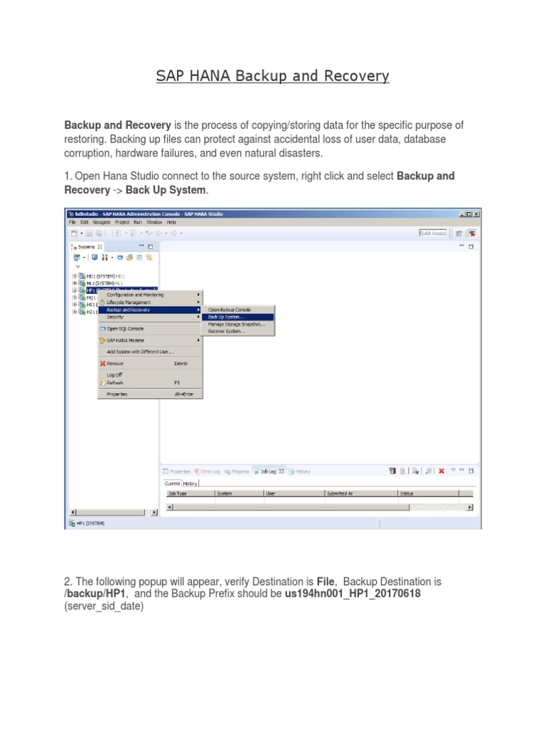 SAP HANA Backup and Recovery Guide | PDF