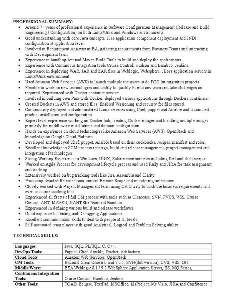 Professional Summary | PDF | Cloud Computing | Scripting Language