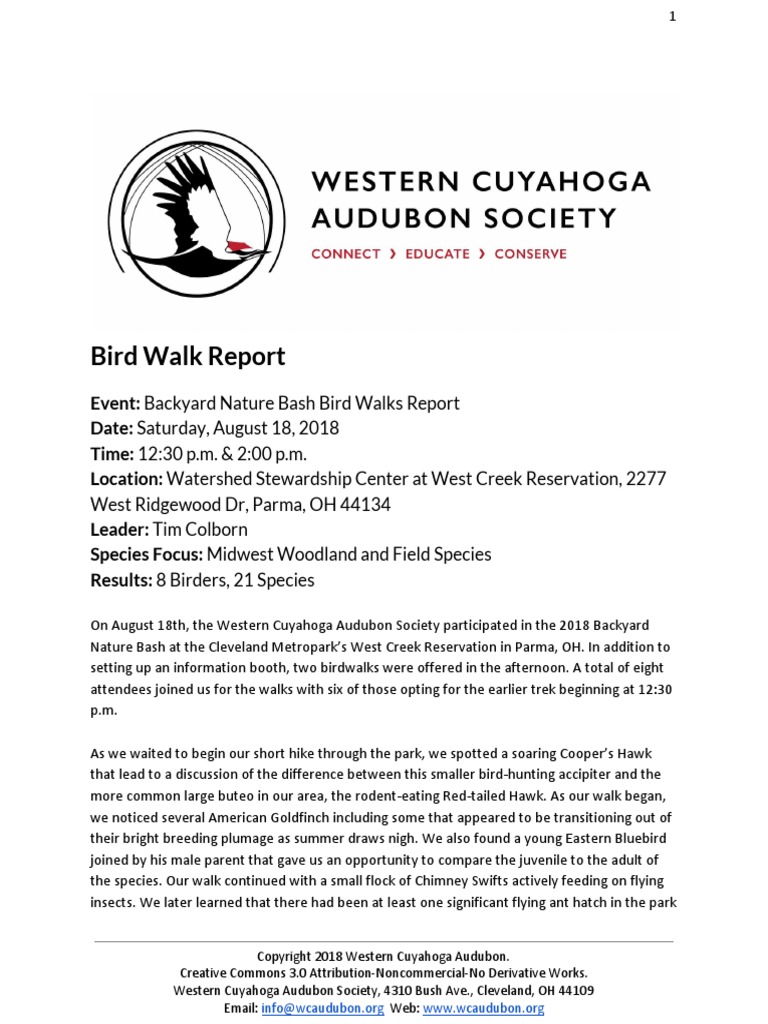 Backyard Nature Bash Bird Walks Saturday, August 18, 2018 Report | PDF ...