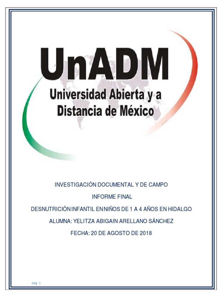 INFORME FINAL UnADM PDF | PDF | Desnutrición | Alimentos