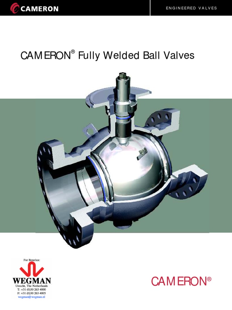 WM - Cameron All Welded Ball Valves Catalogus | PDF | Valve | Pipe ...