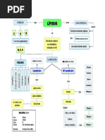 Mapa Conceptual - 12 Mitosis | PDF | Mitosis | Ciclo celular