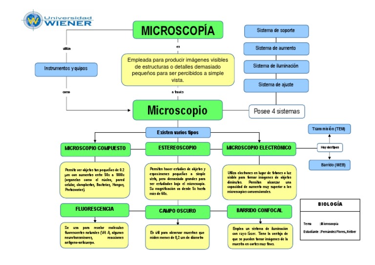 Mapa Conceptual - 1 Microscopía | Microscopio | Fluorescencia