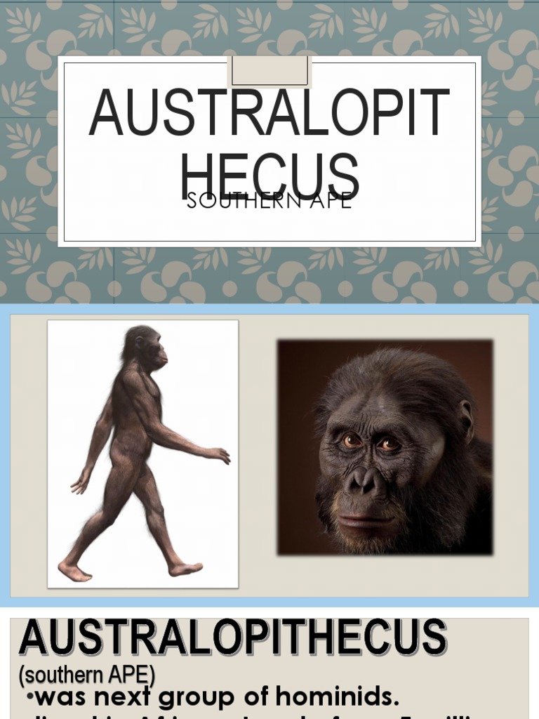 Australopithecus | PDF