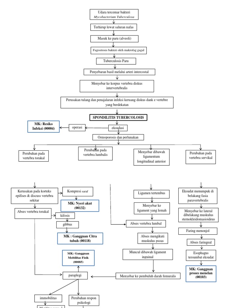 WOC Spondilitis TB | PDF