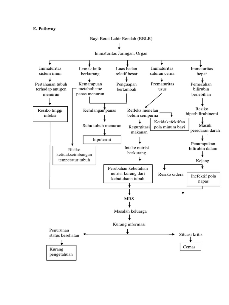 Pathway BBLR Wina | PDF