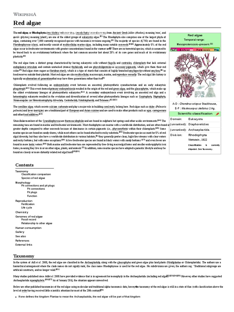 Red Algae | PDF | Algae | Organisms