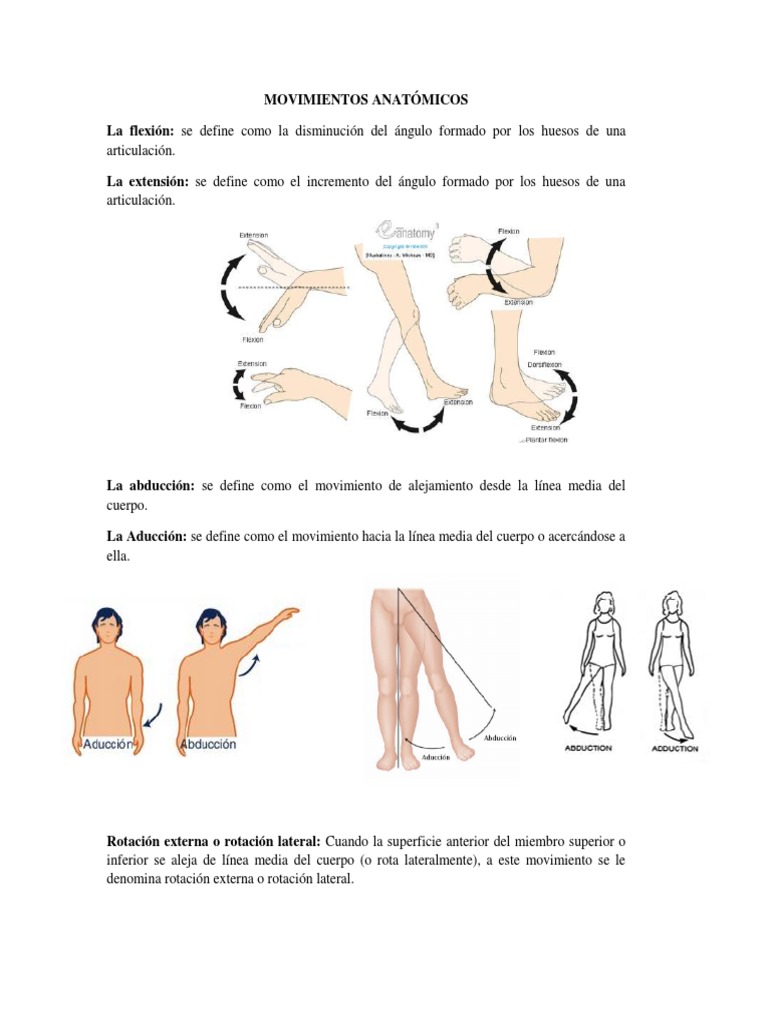 Movimientos Anatómicos | PDF | Pie | Tobillo