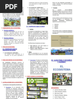 Triptico Ecosistema Terrestre | PDF | Ecosistema | Suelo