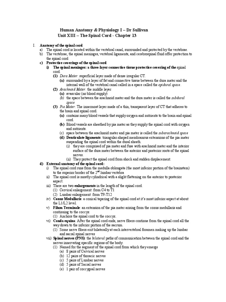 Spinal Cord Anatomy and Physiology Guide | PDF | Spinal Cord ...