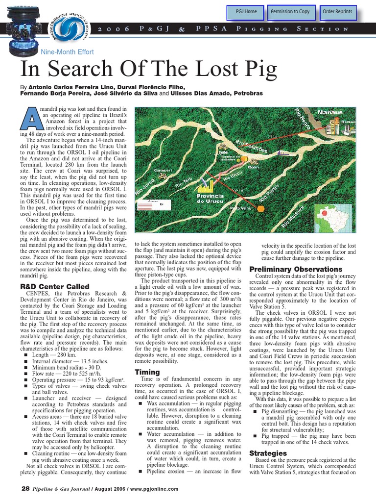 In Search of The Lost Pig: P&GJ PPSA Pigging Section | PDF | Pipeline ...
