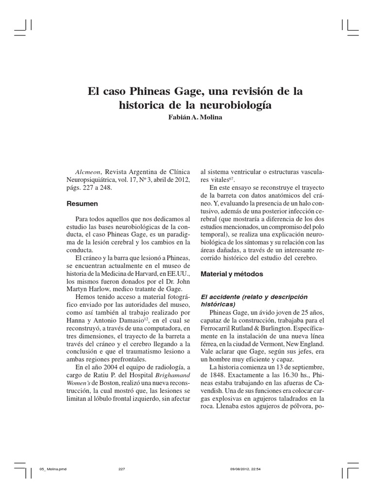 Caso Fineas Gage PDF | PDF | Las emociones | Cerebro
