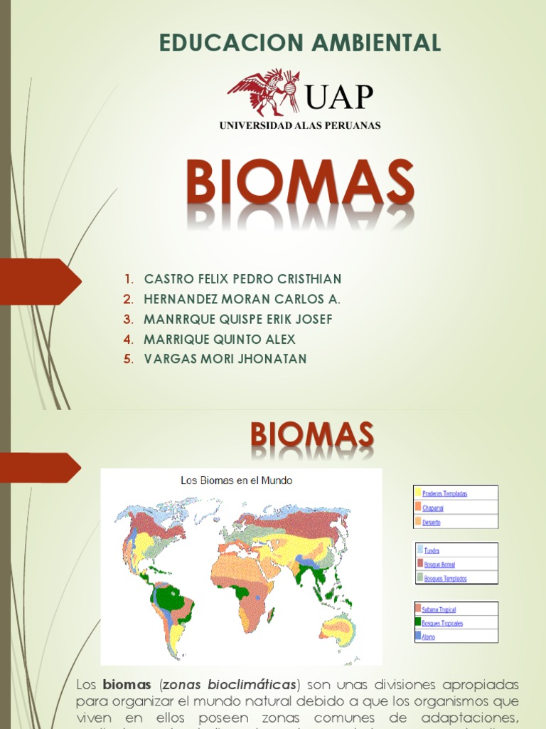 Clasificación de Biomas Terrestres | PDF | Desierto | Selva