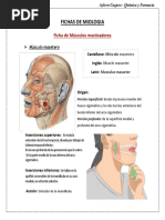 Ficha Técnica Quantrel | PDF | Medicamentos con receta | El embarazo