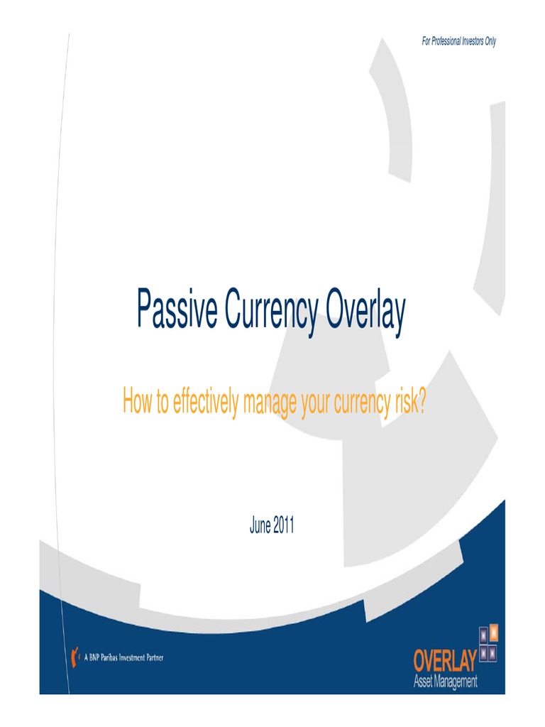 For Professional Investors: Currency Overlay Program Review | PDF ...