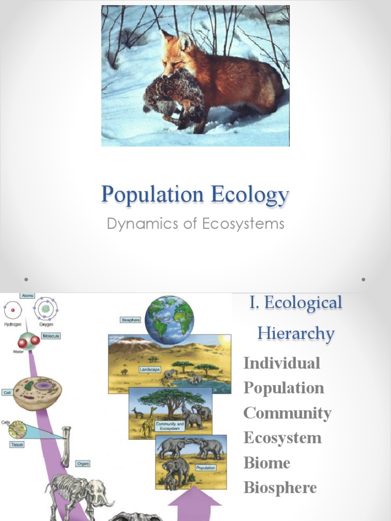 APES Unit 4 PowerPoint | PDF | Reproduction | Predation