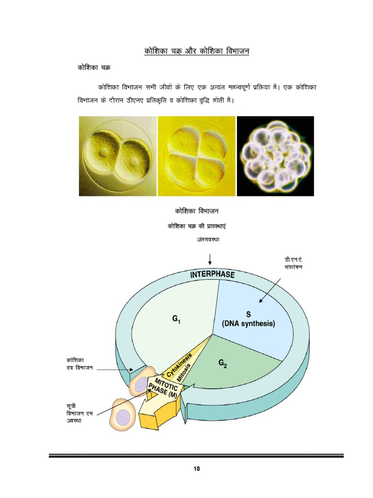DKSF'KDK Pø+ VKSJ DKSF'KDK Fohkktu | PDF | Cellular Processes ...