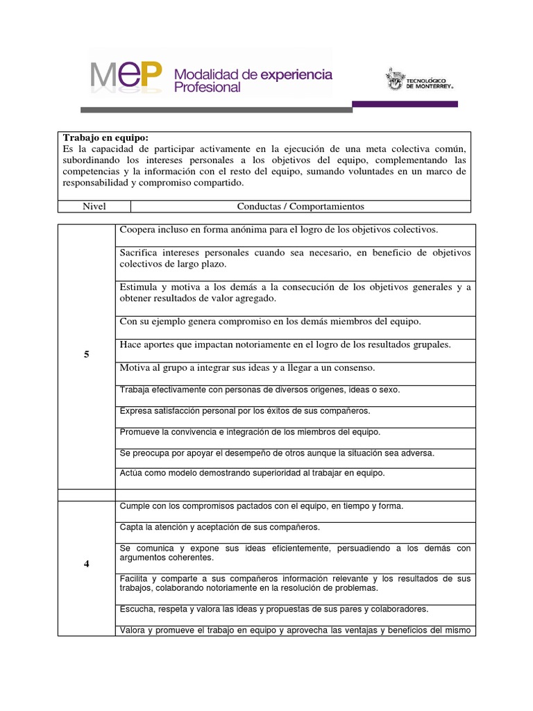 Ejemplo de Modelo de Competencias | PDF | Liderazgo | Comportamiento