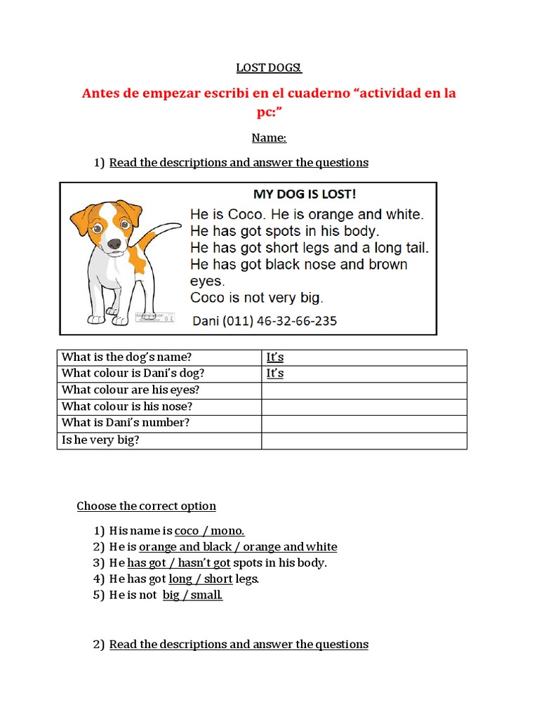 Lost Dog Descriptions and Questions | PDF | Language Arts & Discipline