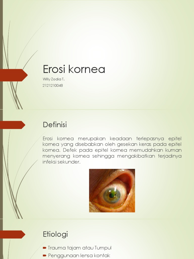 K2-H-Erosi Kornea | PDF