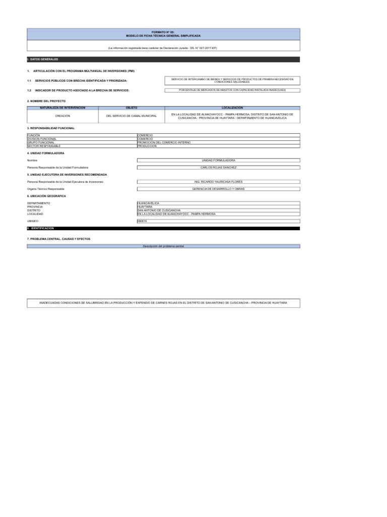 Formato 05 - Pip Camal | PDF | Carne | Valor presente neto