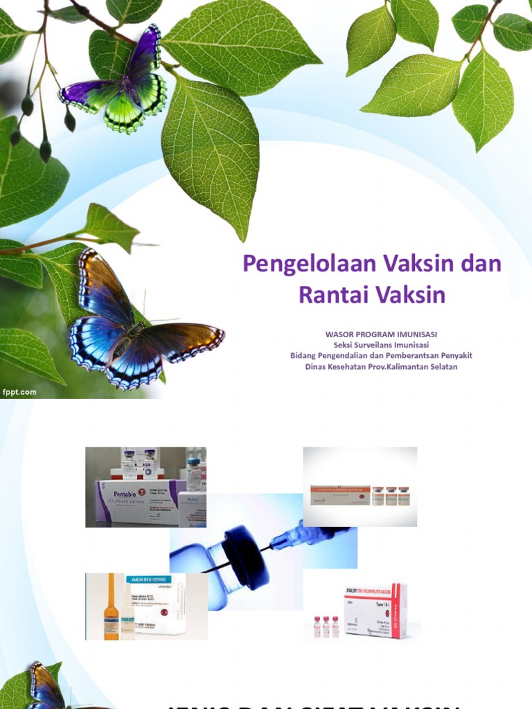 Pengelolaan Vaksin Dan Rantai Vaksin | PDF | Sains & Matematika