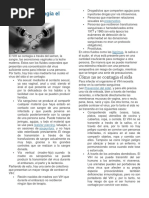 10 Ejemplos de Modismos Utilizados en Guatemala | PDF