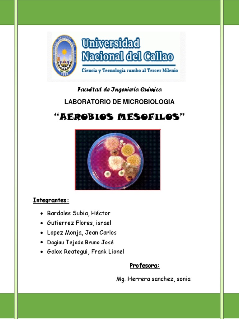 Aerobios Mesofilos | PDF | Microorganismo | Laboratorios