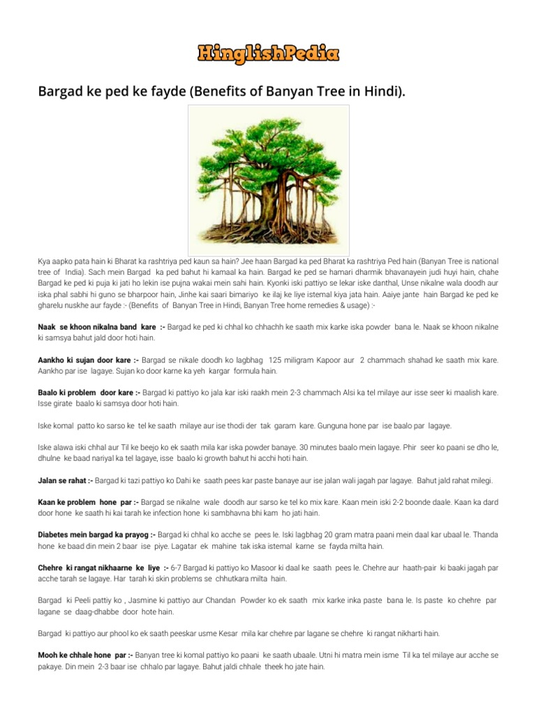 Bargad Ke Ped Ke Fayde (Benefits of Banyan Tree in Hindi ...