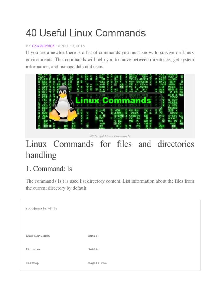 40 Useful Linux Commands | Domain Name System | Computer Networking