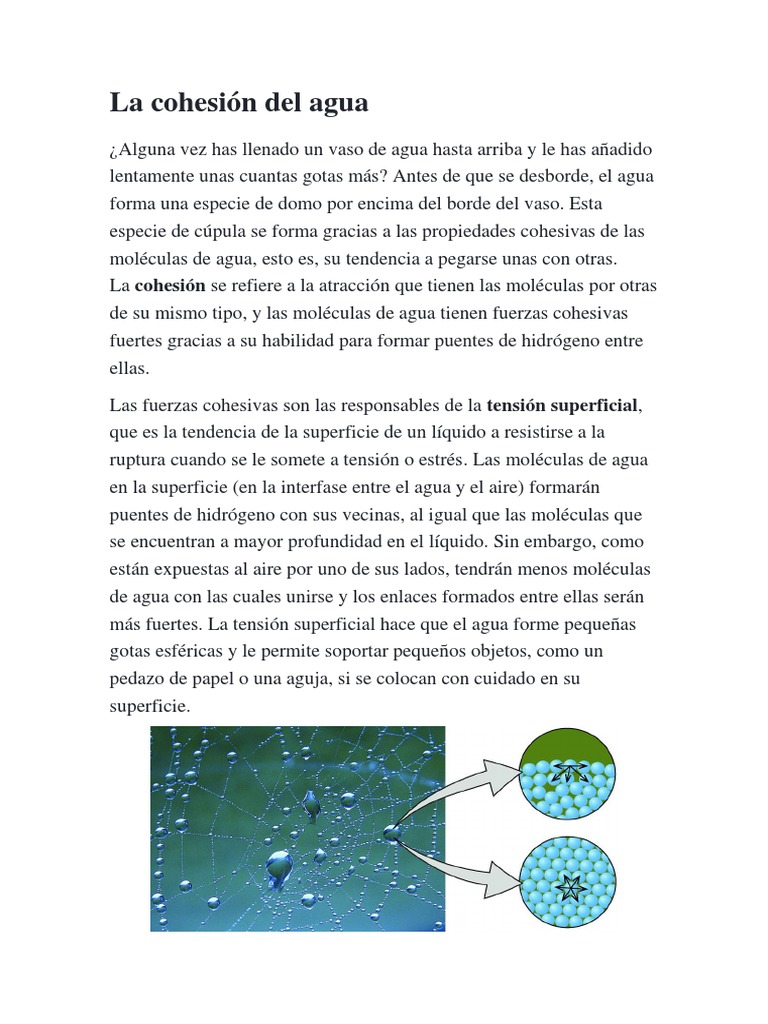 La Cohesión Del Agua | PDF | Propiedades del agua | Líquidos