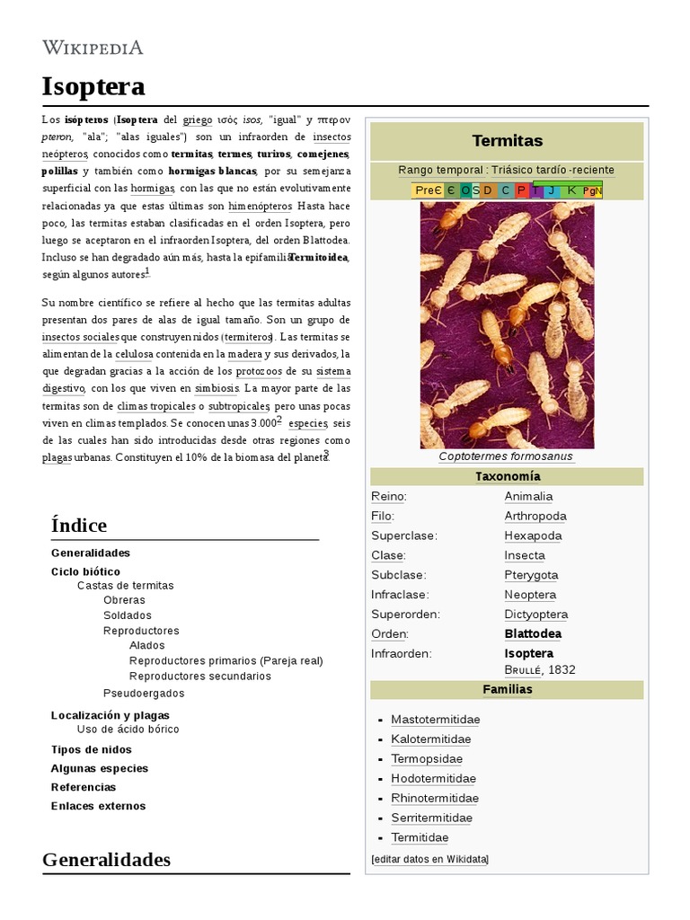 Isoptera | Organismos | Zoología