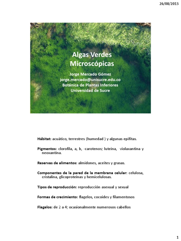 05- Algas verdes I.pdf | Algas | Biología Celular)