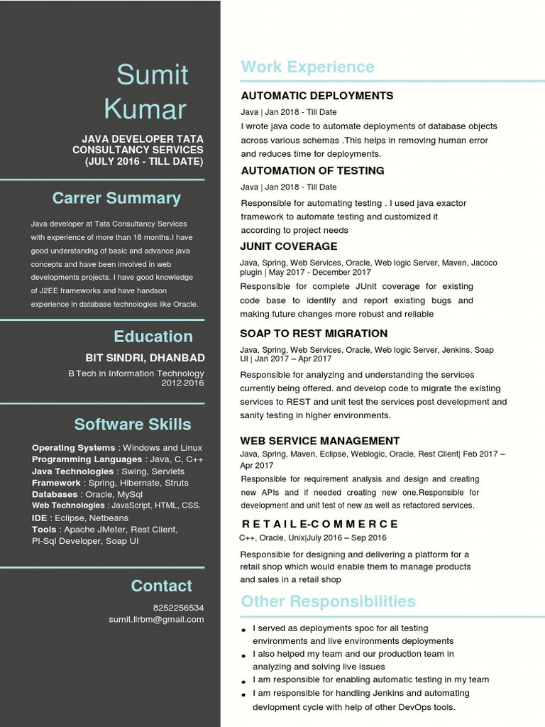 CV Format by Navneet | PDF | Java (Programming Language) | Software