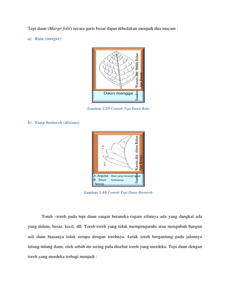 Tepi Daun: Jenis dan Contoh Toreh | PDF