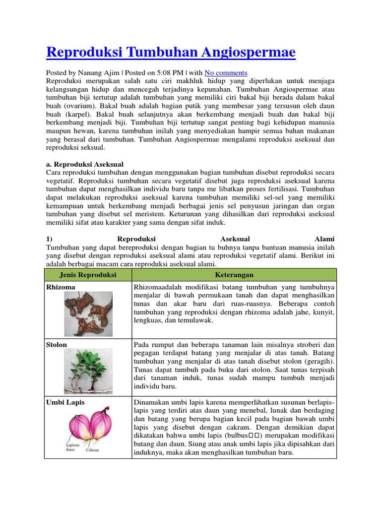 Reproduksi Tumbuhan Angiospermae | PDF | Kesehatan Holistik