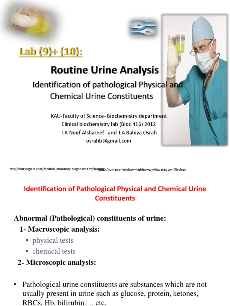Lab 9++10 Pathological Urinlysis | PDF | Kidney | Urine