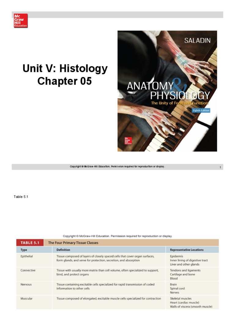 Unit V - Powerpoint | PDF | Epithelium | Connective Tissue