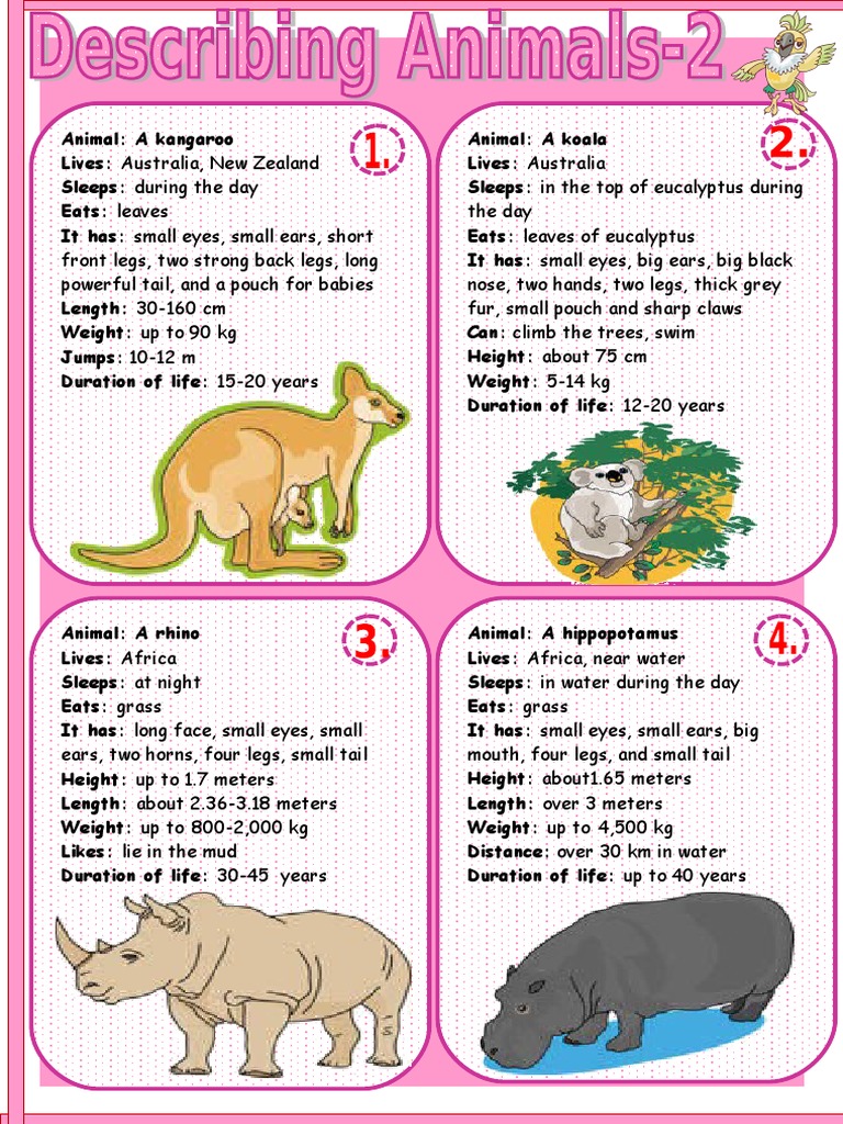 Describing Animals 2 66079 | PDF