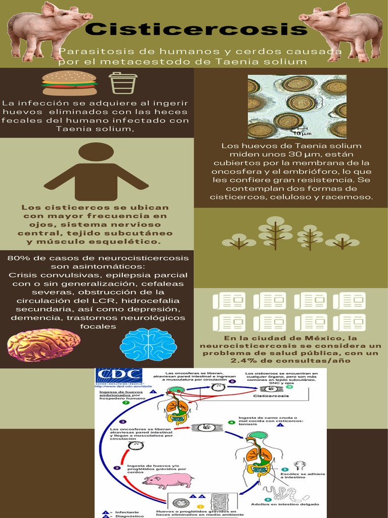 Cisticercosis | PDF