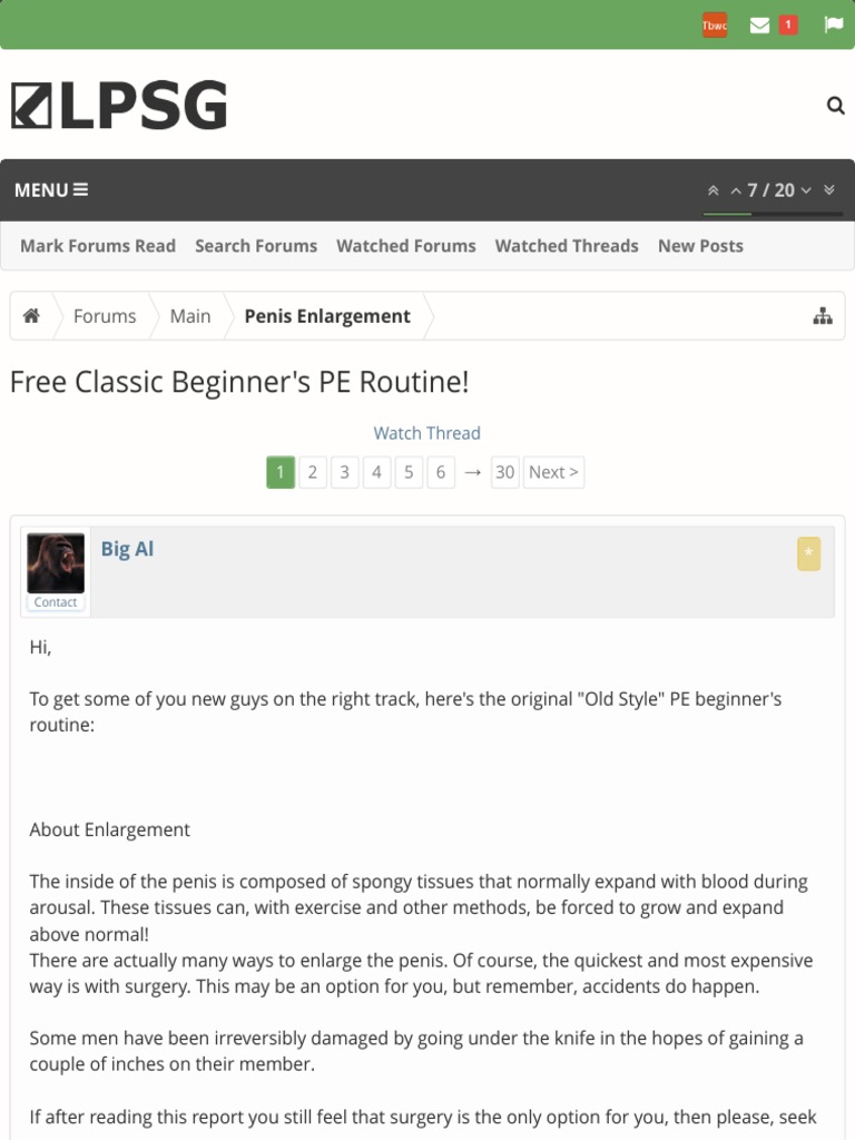 Classic Beginner's PE Routine! - LPSG | PDF | Penis | Pain