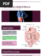 Incisión Rocky Davis | PDF | Medicina CLINICA | Anatomía
