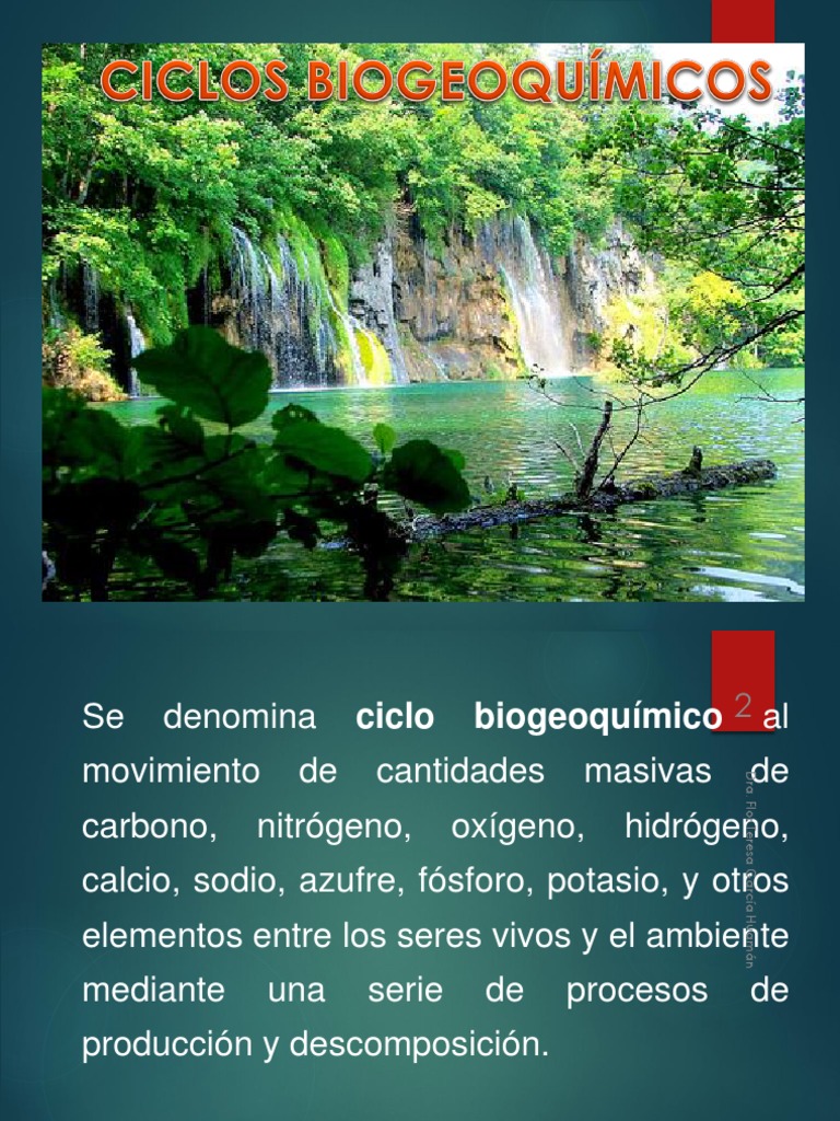Ciclos Biogeoquímicos y Nutrientes | PDF | Sustancias químicas | Química
