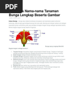 Bagian Bagian Pada Bunga Lengkap Dengan Fungsi Dan Penjelasannya | PDF