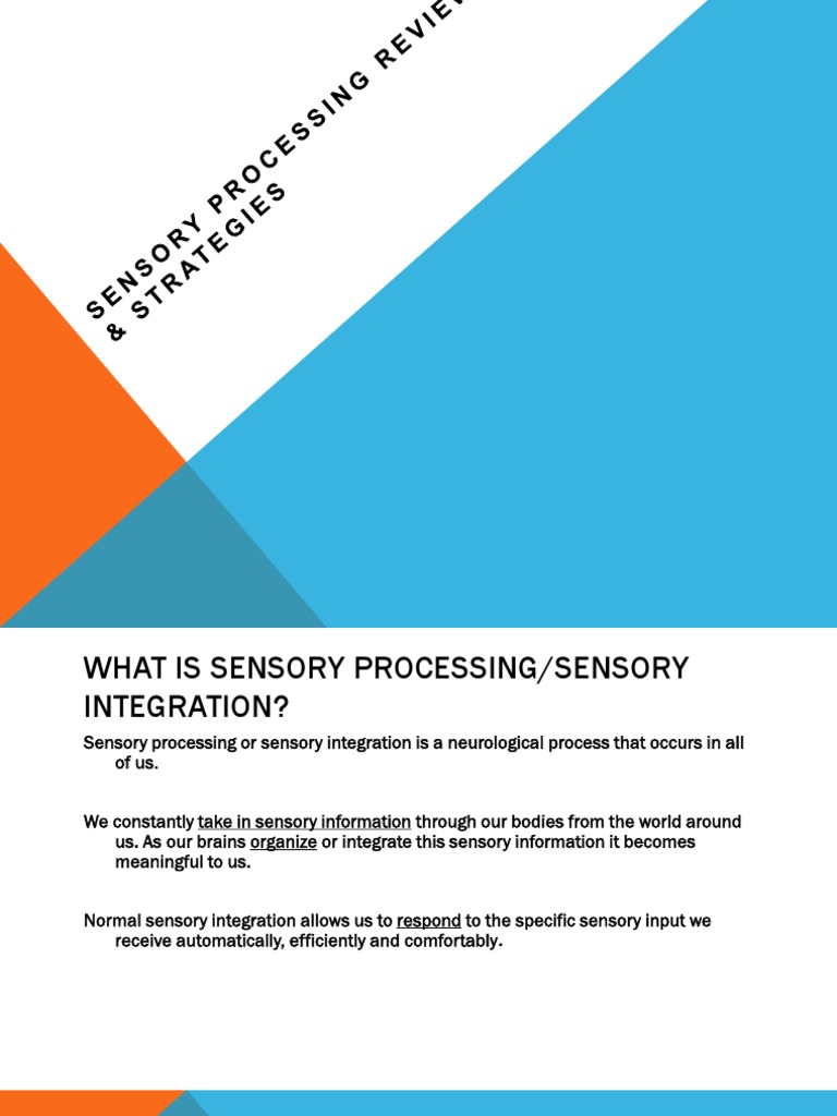 Sensory Processing Powerpoint | PDF | Senses | Perception