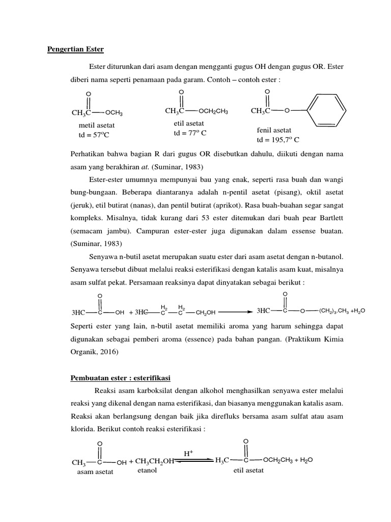 Dasar Teori N Butil | PDF