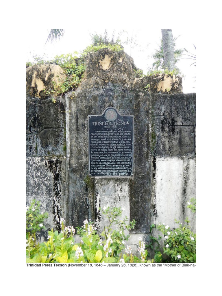 Trinidad Perez Tecson | PDF