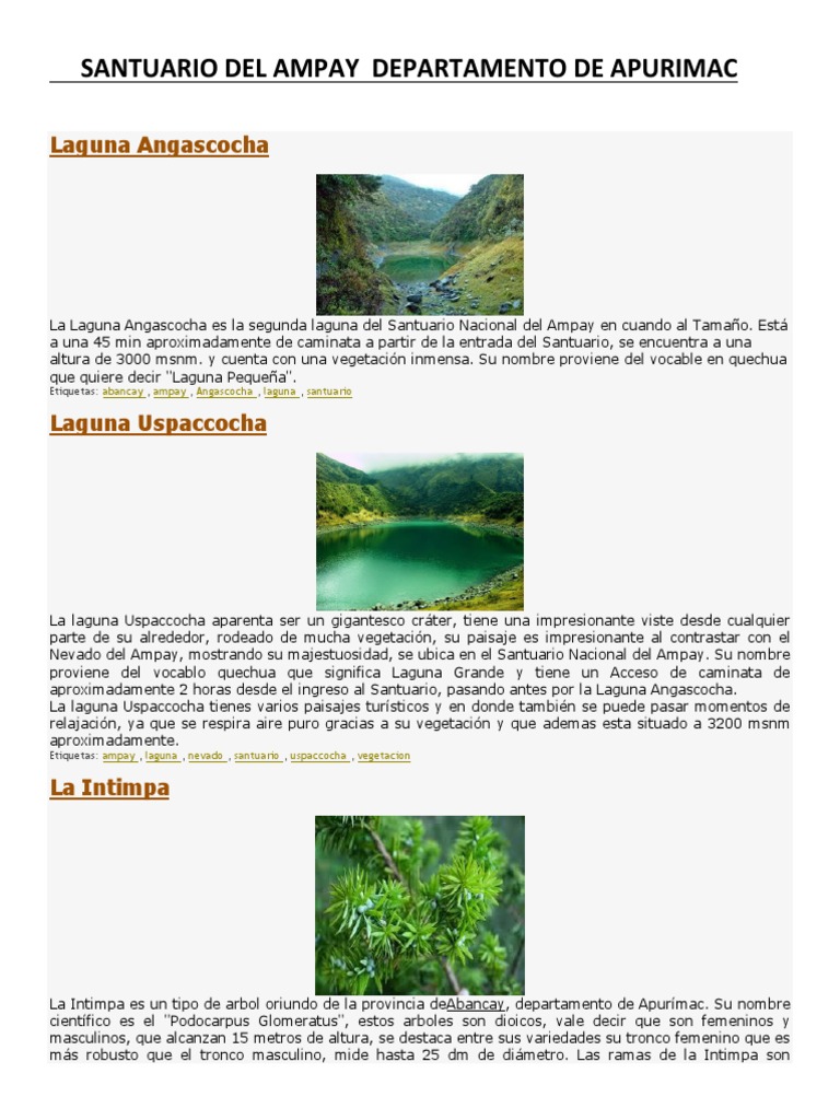 Santuario Nacional del Ampay: Flora y Fauna | PDF | Los bosques | Arboles